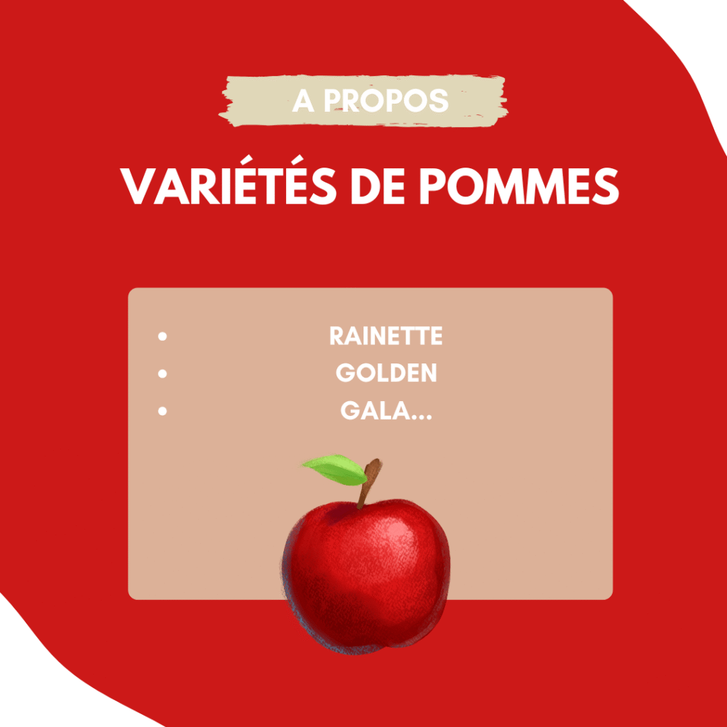 Variétés de Pommes : Lesquelles Choisir ? - Vitafacts